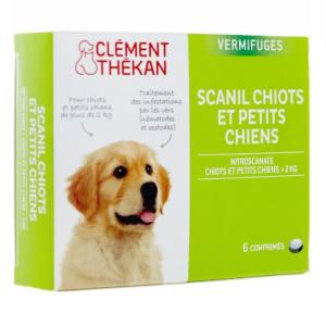 Vermifuges pour chiens