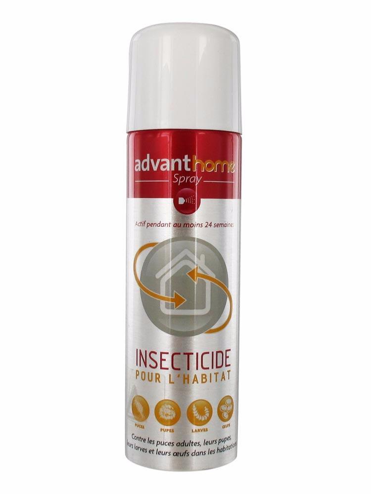 Insecticide Pour Puces Maison | Ventana Blog
