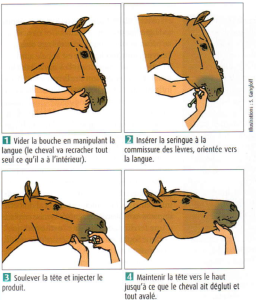 Vermifuge Naturel pour Chevaux Parasitex en Applicateur de 60 ml ...